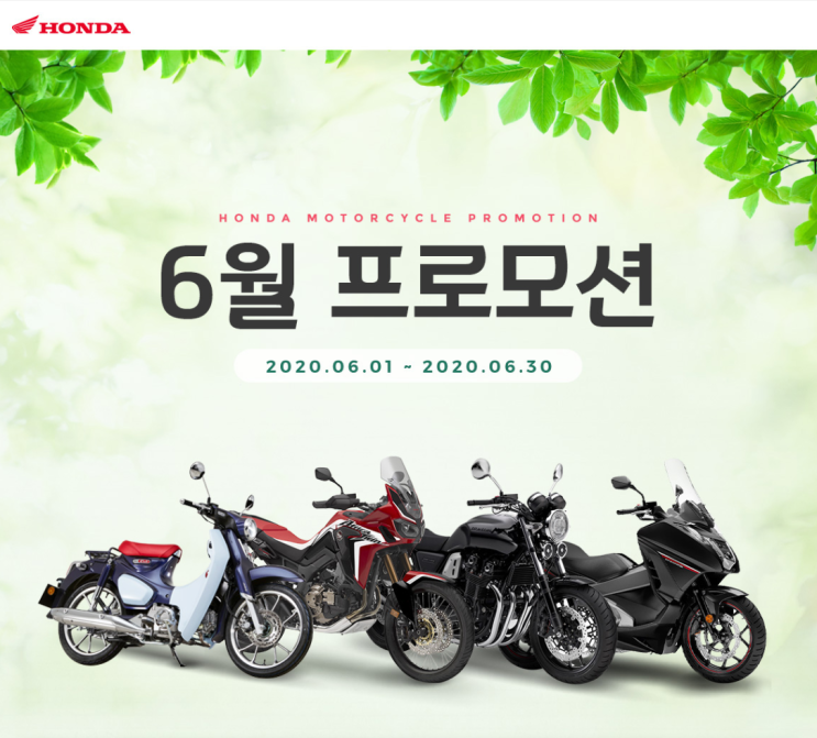 종료 혼다모터사이클 6월 프로모션 진주 오토바이 혼다 오토바이 혼다 진주점 진주 명성모터스 진주 Msm 네이버 블로그