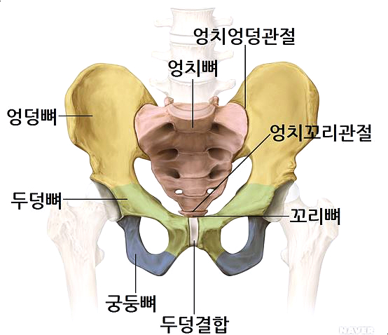 여자 왼쪽 옆구리 통증 왜 아플까 네이버 블로그