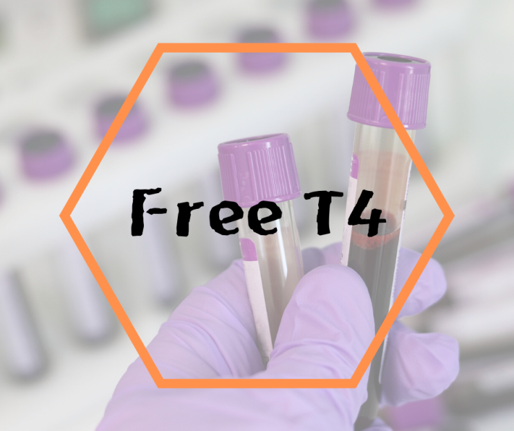 Free T4 수치와 임상적 의의 : 네이버 블로그