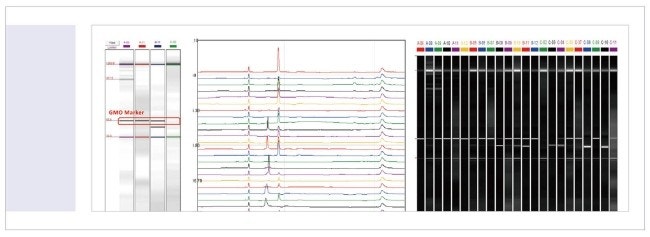 자동화 전기영동 장치 Qsep Fragment Analyzer-Case Study 2탄 : 네이버 블로그