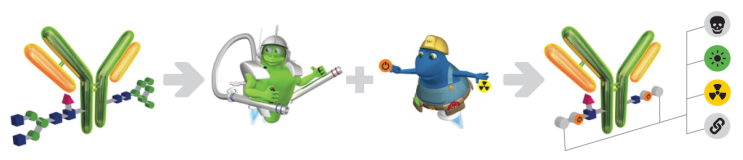 Site specific antibody conjugation enzyme: GlyCLICK을 소개합니다. : 네이버 블로그