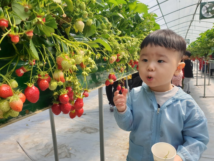 야간보육지정 봉명동 도안6단지 센트럴시티 아파트 어린이집추천 키즈원어린이집 네이버 블로그