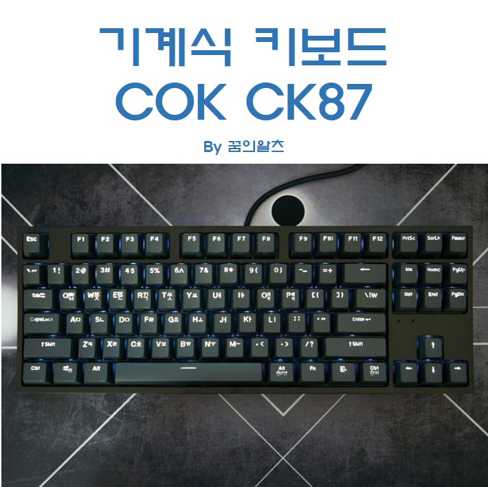 기계식 키보드 COX CK87 게이트론 LED 황축 사용기 : 네이버 블로그