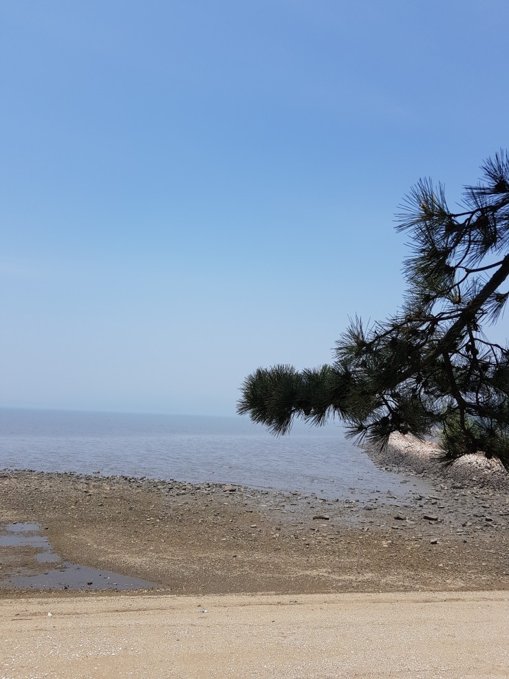 돈없고 빽없는 사람이 억울한 일 당하면, 가장 먼저 찾아가야 할 곳은 대한법률구조공단입니다. : 네이버 블로그