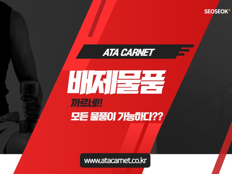 [ATA Carnet] 까르네는 모든 물품이 가능하다????? : 네이버 블로그