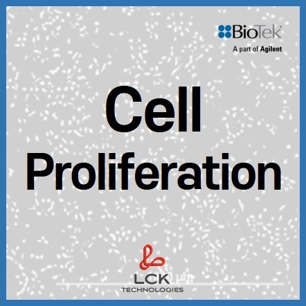 Cell Proliferation (세포 증식) : 네이버 블로그