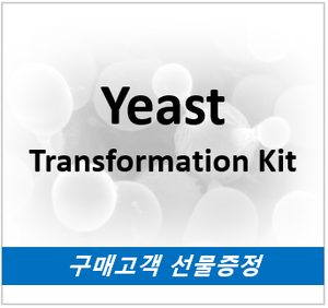 [프로모션] Yeast Transformation Kit : 네이버 블로그