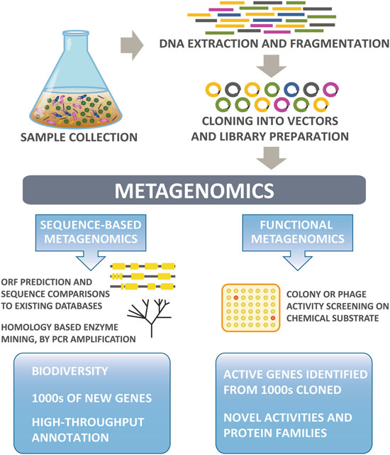 메타게놈(metagenome)를 이용한 미생물 분리동정_한국의과학연구원 미생물자원화센터 : 네이버 블로그