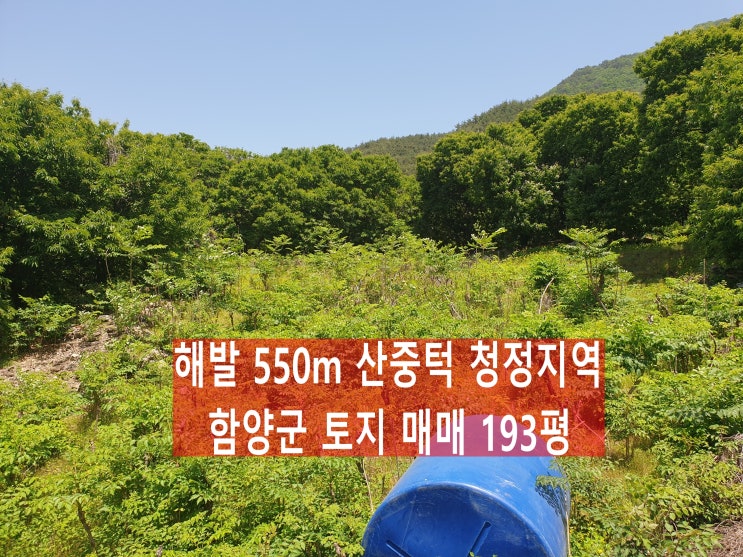 매매완료 함양군 토지 매매해발 550m산중턱 조용한 함양 토지매매 193평2차선도로 인접한 함양군 땅매매함양땅매매함양군