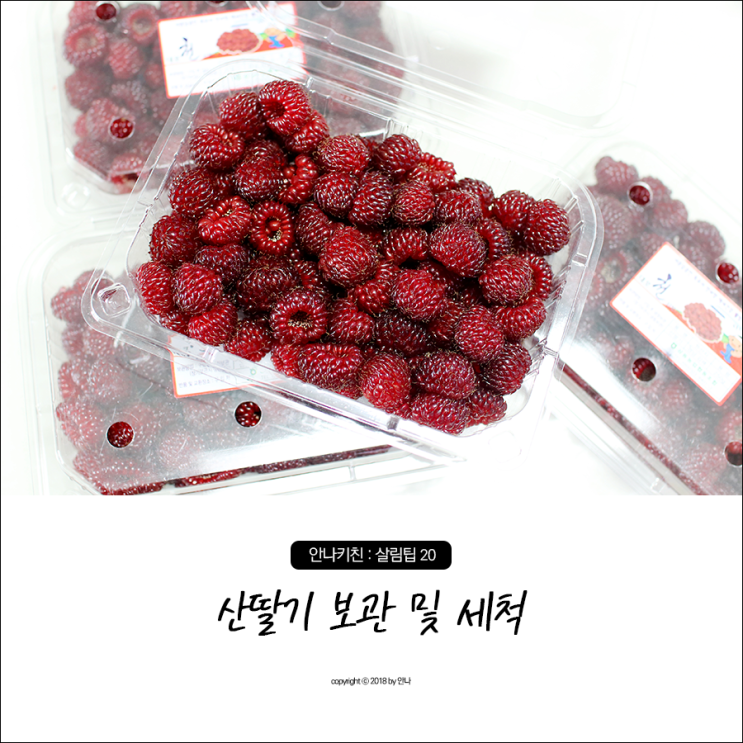 산딸기 세척 산딸기 보관 및 기간 냉장냉동 네이버 블로그