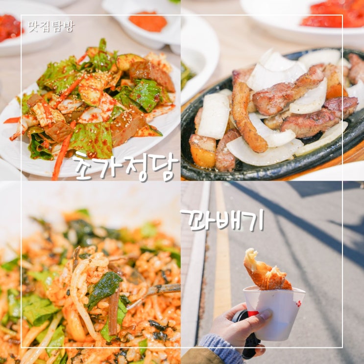 진안 마이산 맛집 초가정담 산채비빔밥 생활의달인 페스츄리대왕꽈배기 네이버 블로그