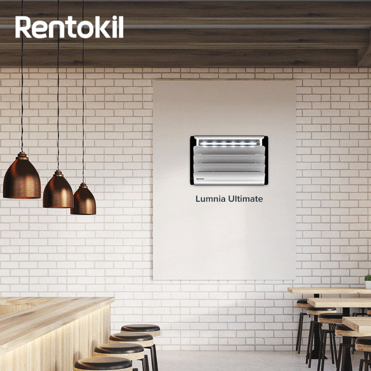 LED포충기? 렌토킬 룸니아를 만나보세요. : 네이버 블로그