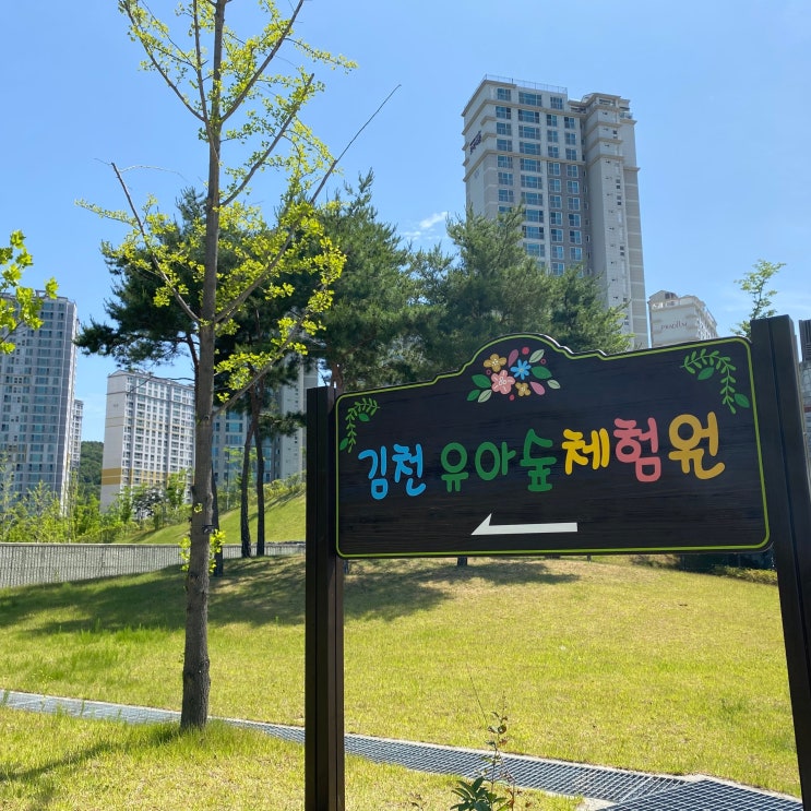 김천 유아숲체험원 김천혁신도시 놀이터 율곡동 숲놀이터 김천 아이와 가볼만한곳 김천녹색미래과학관 네이버 블로그