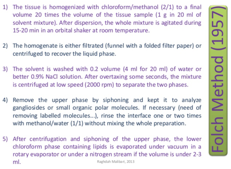 간지질 무게/조직지질 무게 재는법/Folch method/lipid extraction : 네이버 블로그
