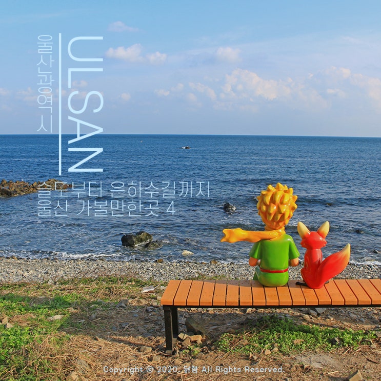 울산 가볼만한곳 4 태화강 국가정원 대왕암공원 그리고 네이버 블로그