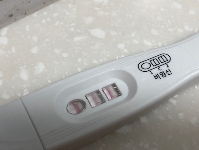 임신 5주차 기록🤰🏻 계획임신 아기집 확인 임신 극초기 증상 네이버 블로그
