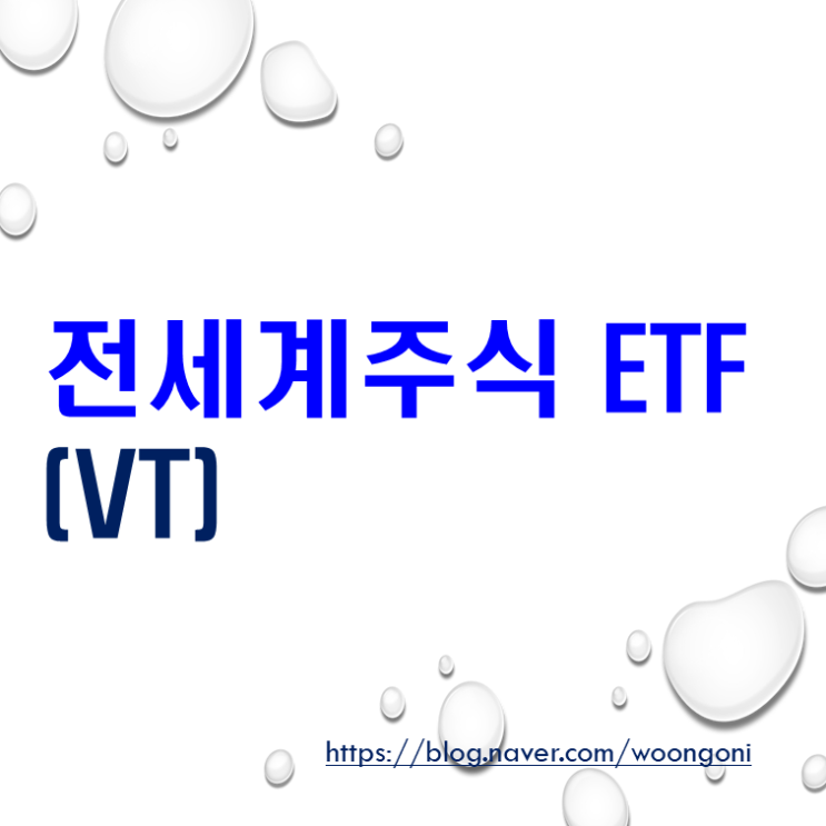 [미국] VT (Vanguard Total World Stock) ETF 전세계 주식 분산 투자 ETF : 네이버 블로그