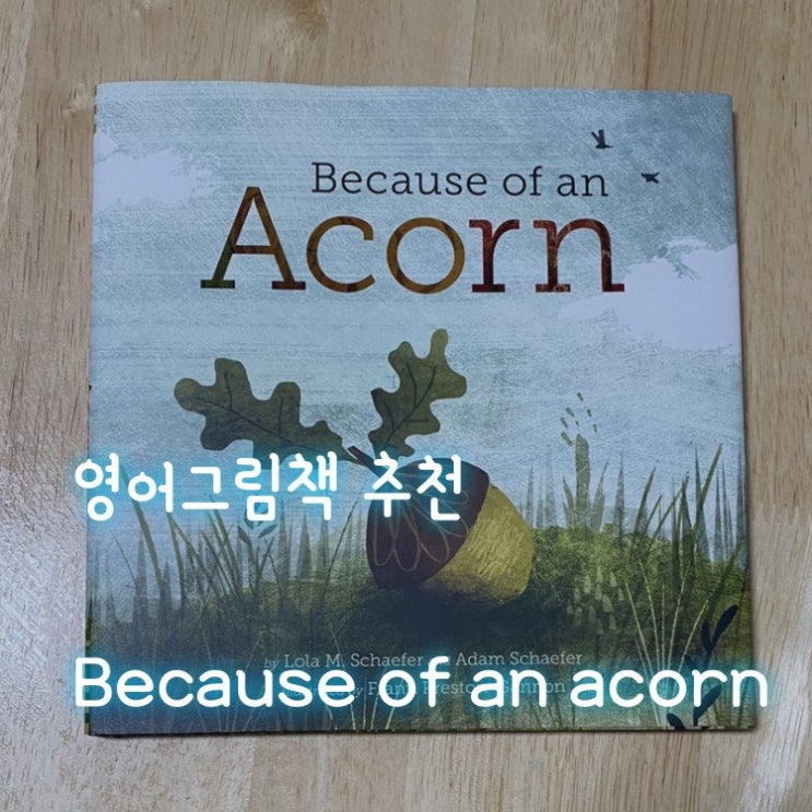 (영어원서)자연관찰 영어그림책 / 감성 영어동화 Because of an acorn : 네이버 블로그