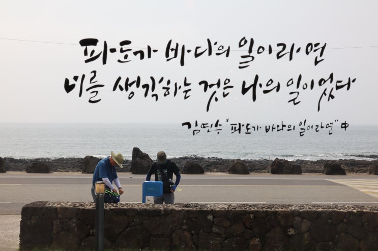 제주올레길 리본 보는 방법 스템프 찍는 방법 등 필수정보 : 네이버 블로그