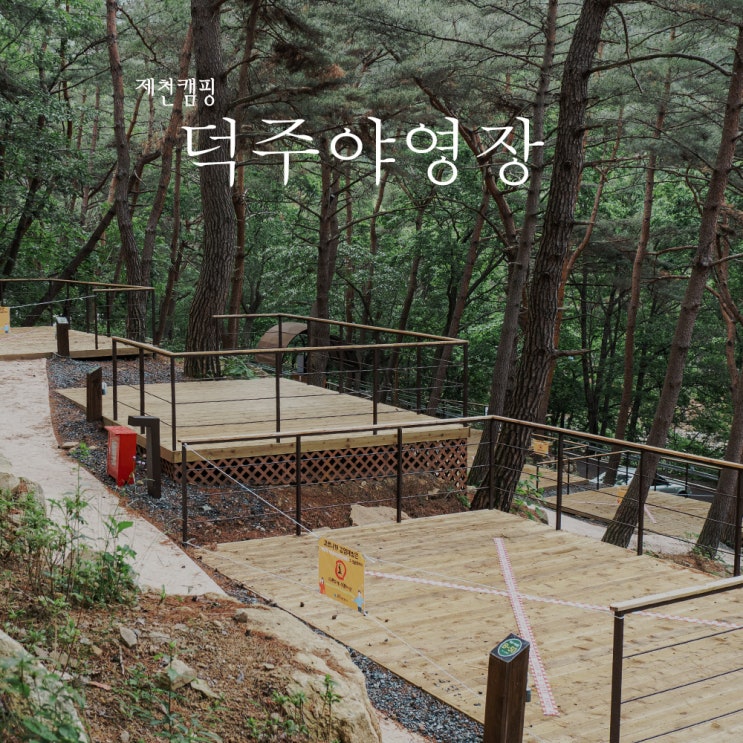 제천 월악산국립공원 덕주야영장예약하는 법 포함 네이버 블로그