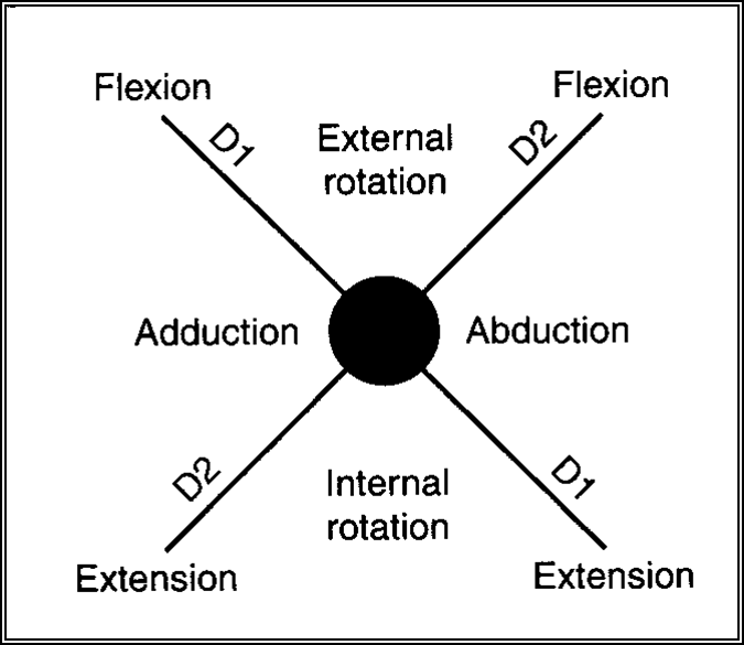 고유수용성 신경근 촉진법(PNF: proprioceptive neuromuscular facilitation) : 네이버 블로그