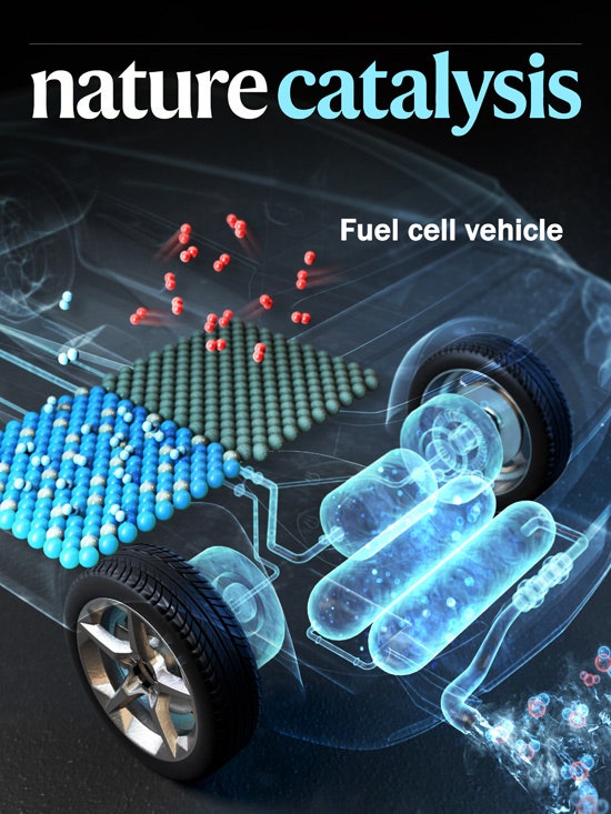 Nature Catalysis/논문커버디자인/Journalcover/논문표지/Figure/3D그래픽/저널커버/논문그림/논문삽화 ...