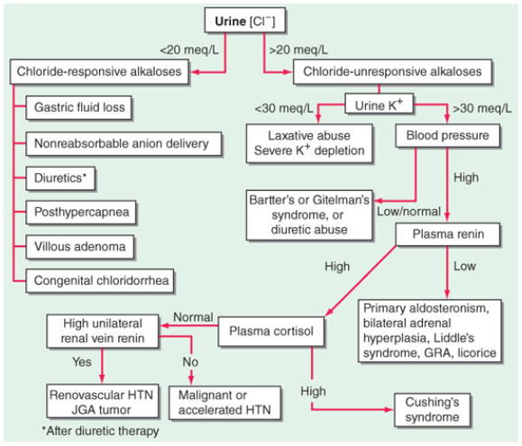 Differential diagnosis of metabolic alkalosis : 네이버 블로그
