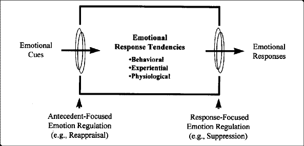[조직행동론] 감정 규율 이론(Emotion Regulation Theory) : 네이버 블로그