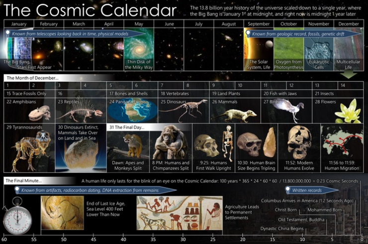 칼 세이건의 우주 달력 (우주력 (Cosmic Calendar)) : 네이버 블로그