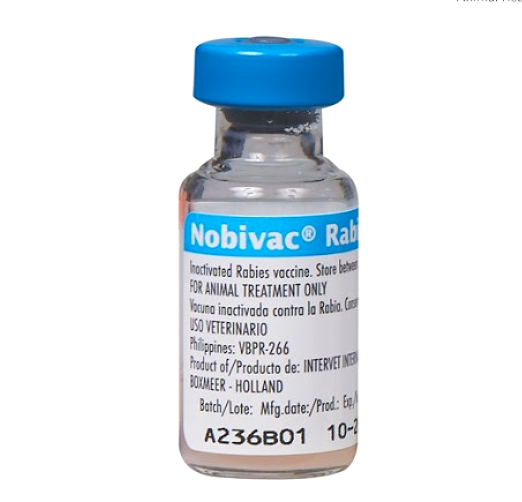 [노비박레비스(Nobivac Rabies) - 강아지, 고양이 광견병 백신] 용법 가격 주의사항 [금호동광주동물약국] : 네이버 블로그