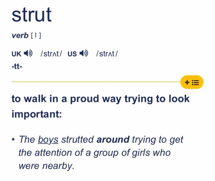 Strut, classifieds, bloat, contort 뜻 : 네이버 블로그