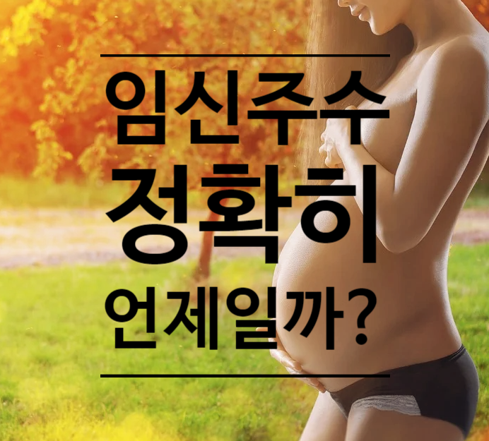 출산예정일계산기 정말 맞을까 임신주수계산 하는 방법 네이버 블로그