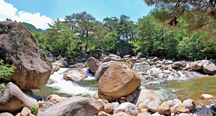 지리산 계곡 여기가 명당일쎄 : 네이버 블로그