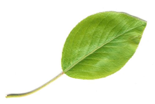 우드카빙(목공방 / 가구공방 / 목공교육 / 목공예 / 취미목공) : 네이버 블로그