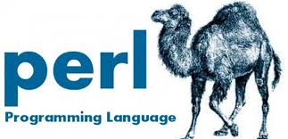 Perl Tip - Option 정리 : 네이버 블로그