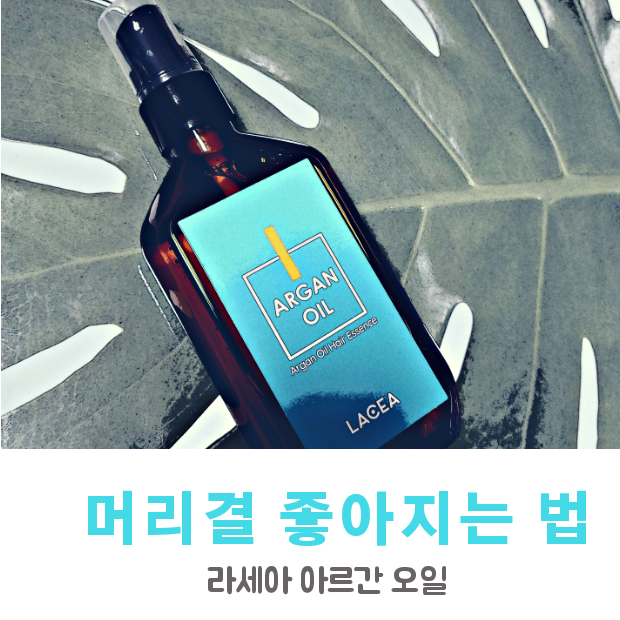 헤어에센스 머리결좋아지는법 모로코 아르간오일이 답 네이버 블로그