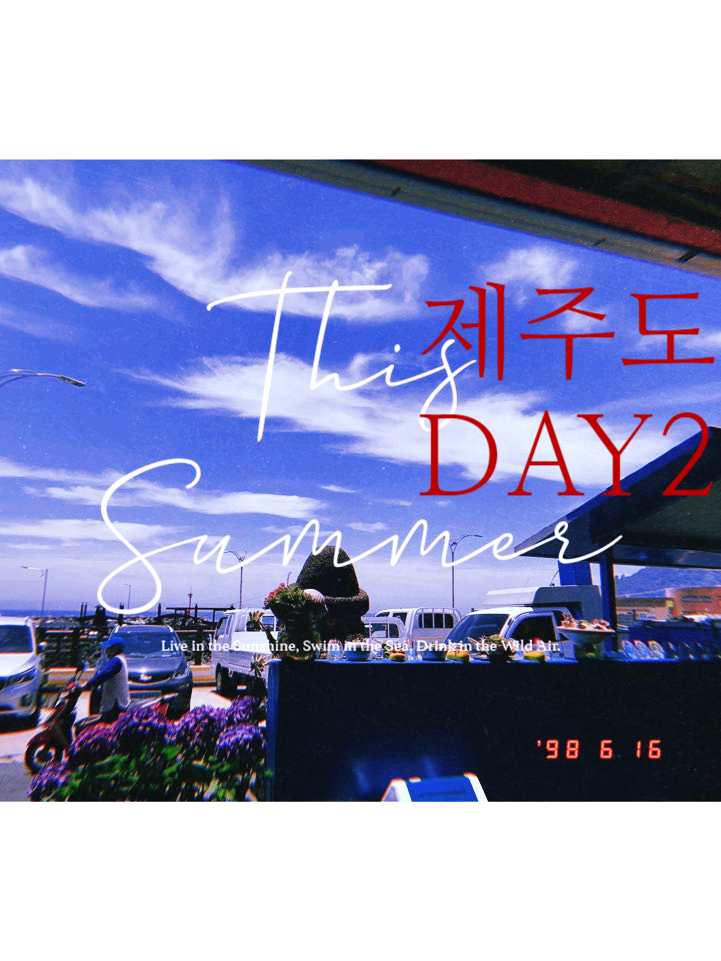 제주도 자유여행 3박4일 코스제주스노쿨링여자혼자 제주도여행제주스노클링여자혼자 국내여행 제주도스노쿨링 제주스타벅스