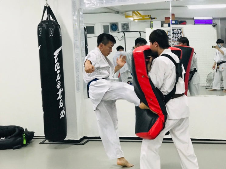 극진공수도 도봉도장 종합격투무술로 진화하고 있는 극진가라데 극진가라데도봉도장 도봉 극진공수도 도봉 극진가라데