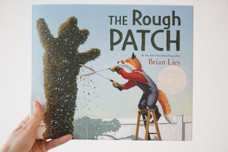 영어그림책 #514 : The Rough Patch by Brian Lies (2019 Caldecott Medal작 ...