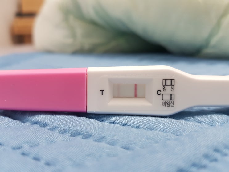 유산 후 바로 임신하다 3 배란 10일차 임신 3주4일차 첫 임신테스트 두줄뜨다 가짜양성의심 무증상임신