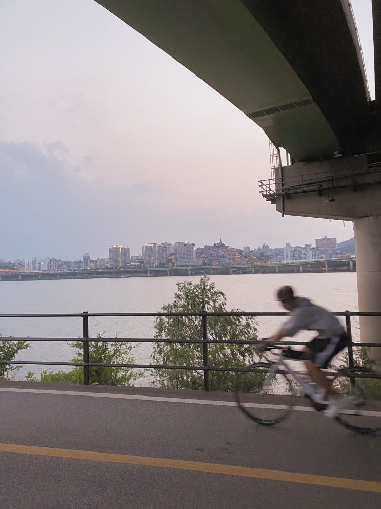 한여름밤의 꿀 : 네이버 블로그