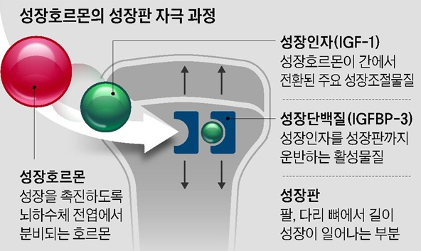 운동과 성장호르몬의 관계 우울증과 수면장애 개선 운동의 효과 경산피티 핏피티 경산pt 네이버 블로그
