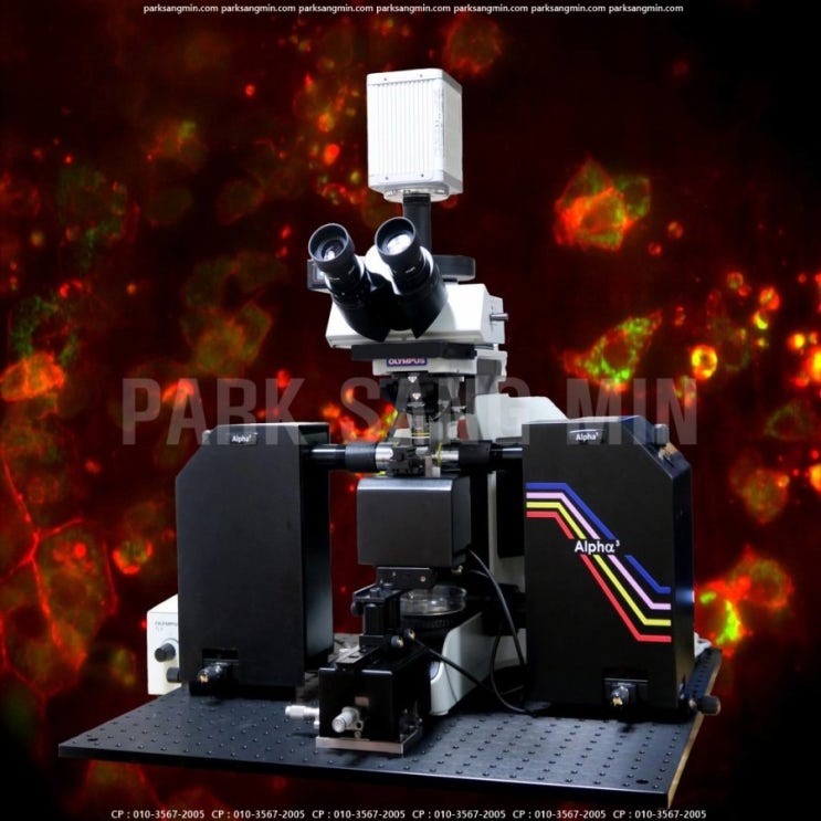 Light Sheet Microscopy Olympus | Shelly Lighting