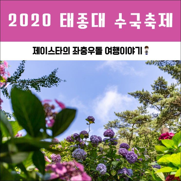 2020 태종대 수국축제 다누비열차타고 전망대 영도 등대 태종사를 한 번에 주차장 정보까지 네이버 블로그