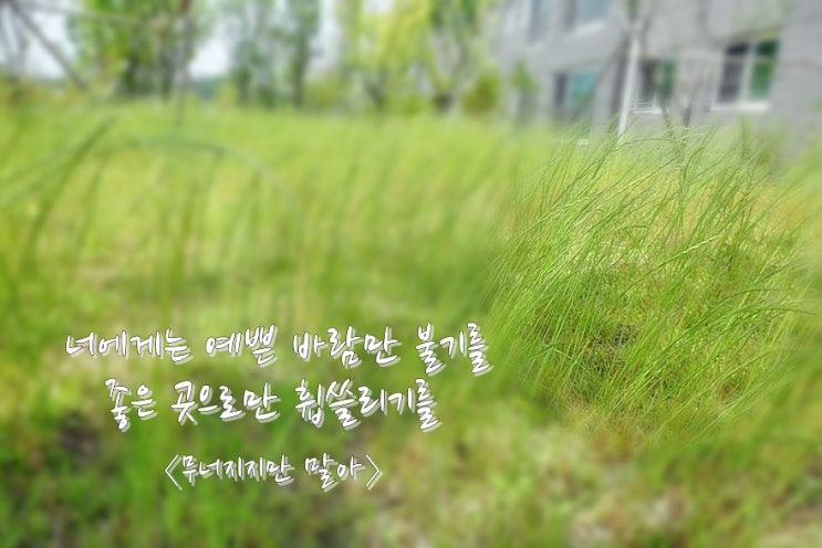 들묵새 : 네이버 블로그