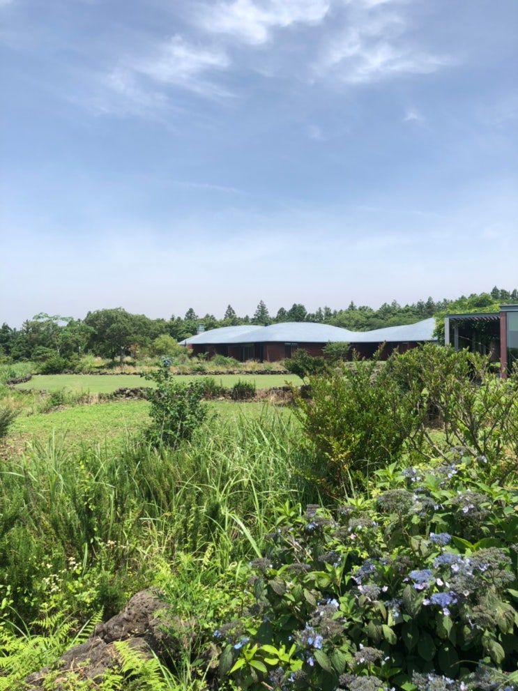 [제주도 태교여행] 포도호텔 PODO HOTEL / 제주마음샌드 : 네이버 블로그