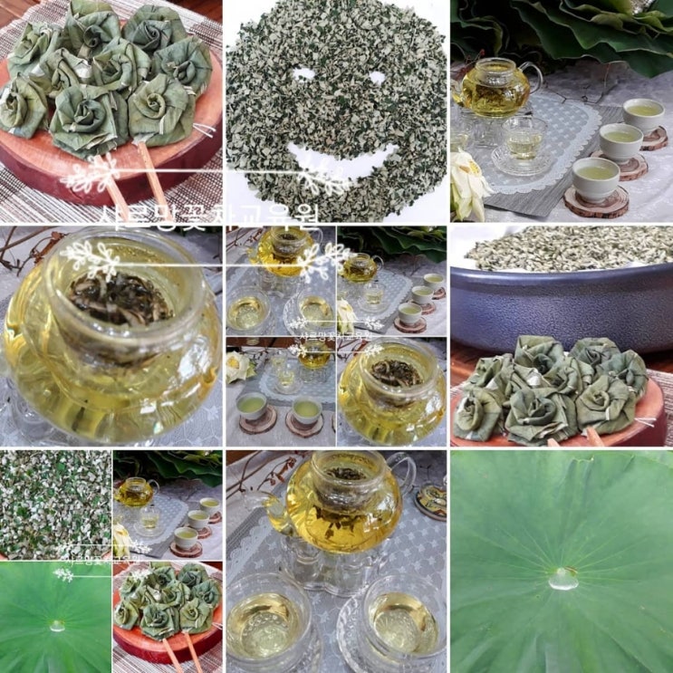 연잎차연잎 장미연잎차 만들기연잎차의 효능위와 폐를 건강하게 하고 심신을 편안하게 도와줍니다꽃차꽃차교육꽃차소믈리에
