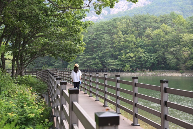 포천 산정호수 둘레길 포토존과 산책로 주차팁까지 네이버 블로그