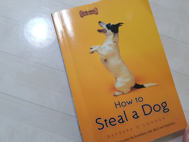[ 영어원서 ] How to steal a dog (Barbara o'connor)~ 개를 훔치는 완벽한 방법 : 네이버 블로그