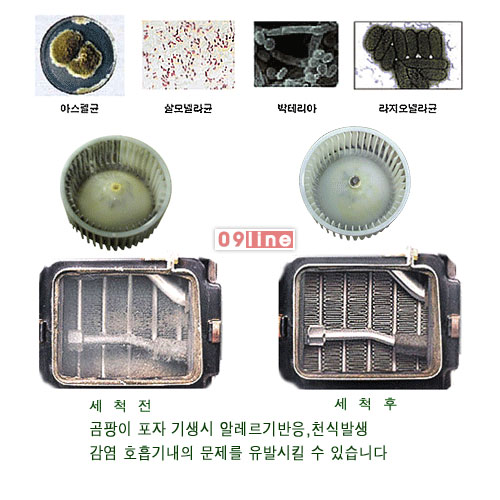 마산에바클리닝 마산에어컨냄새 마산히터냄새 마산세차 마산유리막코팅 마산실내클리닝 마산실내살균 마산신차패키치 마산역세차장 네이버 블로그